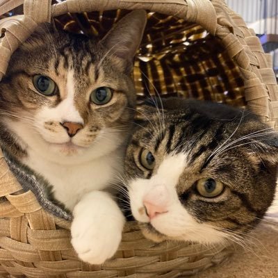 PHP Conference Japan 2023